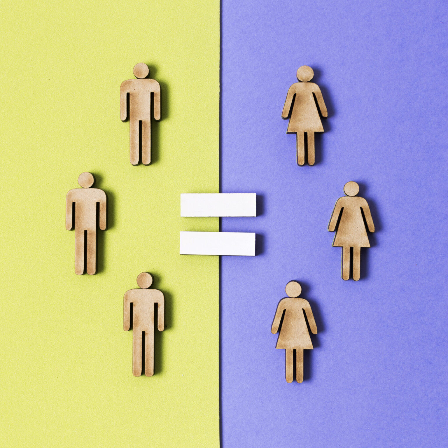 Promoting Gender Equity and Inclusivity in the Employment Sector in ...